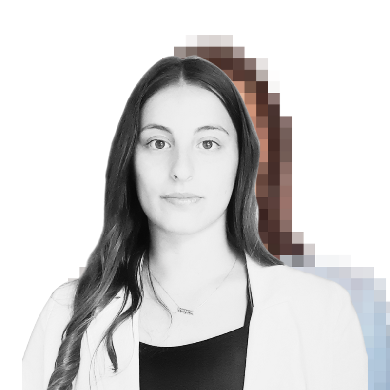 About Us - The New Global Order